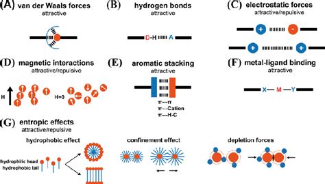 Figure 2 From Chitosanpolyγ Glutamic Acid Polyelectrolyte Complexes