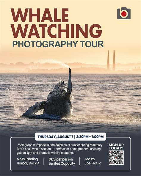 Whale Watching Photography Tour Thursday August 7 — Bradley