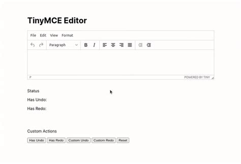 Handling Undo Function In Rich Text Editors Tinymce