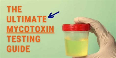 The Best Mycotoxin Test Ultimate Mycotoxin Testing Guide Fwdfuel