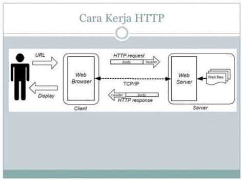 Apa Itu Tls Pengertian Fungsi Dan Cara Kerja Tls Sexiezpix Web Porn