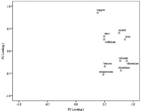 The Principal Component Loadings Of The First Two Principal Components Download Scientific