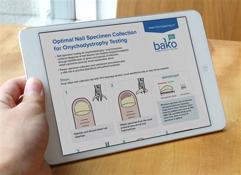 Optimal Nail Specimen Collection Procedure Bako Diagnostics