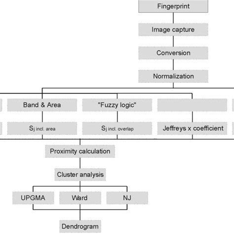 Overview Of Computer Assisted Pattern Analysis Download Scientific