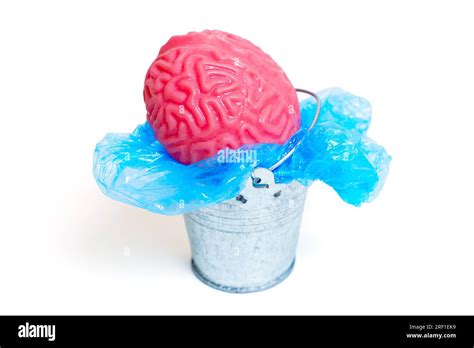 Human Brain Replica Placed Inside A Tiny Trash Bin Isolated On White