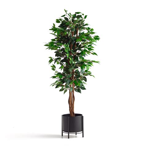 Kunstig Ficus Benjamin Plante H 1600 Mm Inkl Sort Stålkrukke På