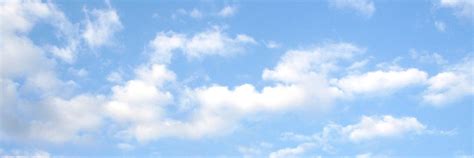 Auguste Lefou Collection Opensea