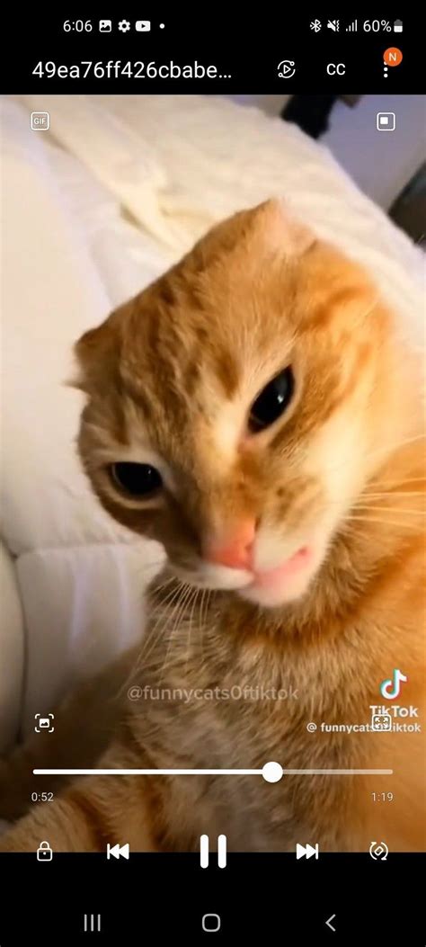 Kolakoala Onekoala On X Disney Princess Anime Disney Princess