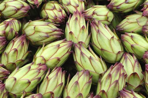 上竹林養生食草館 文山店 火龍果花苞，禮拜四送到的新鮮貨數量有限，歡迎大家來嚐嚐看，火龍果花苞的口感有點像秋葵一樣