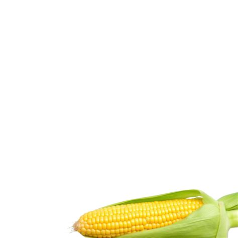 Corn No Background 32161066 Png
