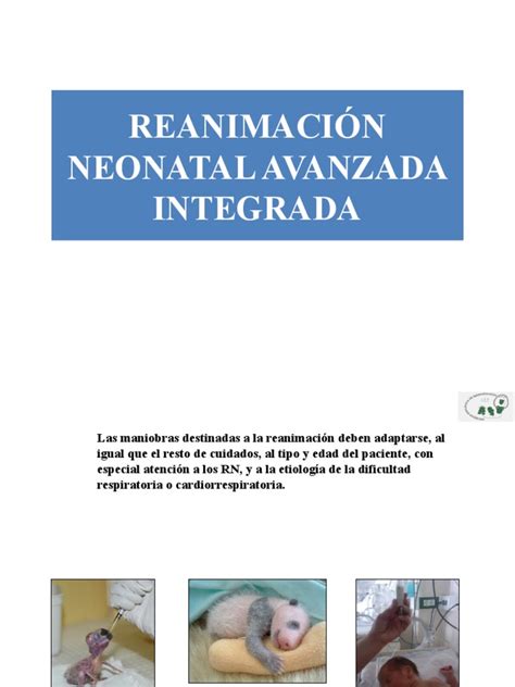 Reanimación Neonatal Avanzada Y Cuidados Pdf Reanimación