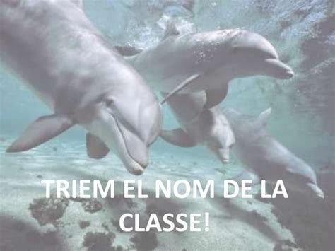 Triem El Nom De La Classe Pptx