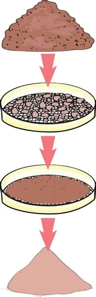 Archaeological Sieve Over 6 Royalty Free Licensable Stock Vectors