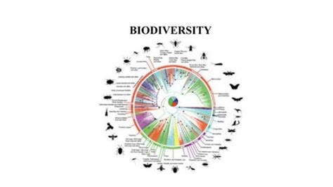 Biodiversity And Its Conservation Ppt