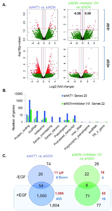 Status Of Statistically Significant Differentially Expressed Genes A Download Scientific