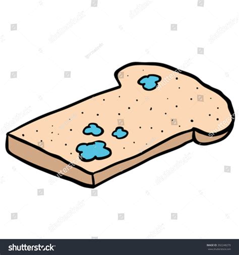 Freehand Drawn Cartoon Illustration Moldy Bread Stock Vector 392248270
