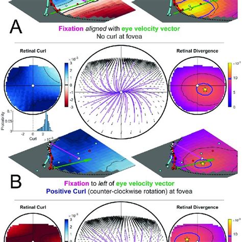 Retinal Vs Head Centered Optic Flow Optic Flow Patterns Down Sampled