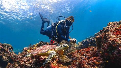 Dive Into Adventure At Thailands 6 Best Diving Spots Klook Travel Blog