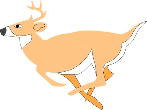Deer Running Away