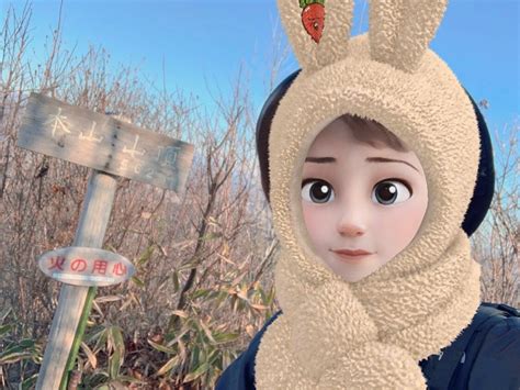 ①榛名山 ②男山 ③本山 ④飯盛山 ⑤大網山 ⑥高舘山 ⑦矢倉山 ⑧妙見山 ⑨黒戸山 ⑩兜山 ①①鬼山 ①②雷電山 ①③毘沙門山 しゅうさんの篠井富屋連峰（宇都宮アルプス）の活動データ