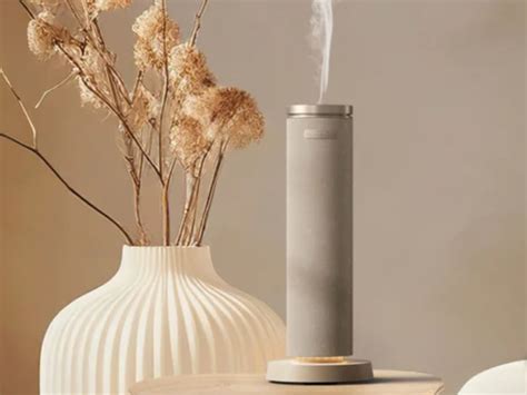 Homedics Diffuser Costco