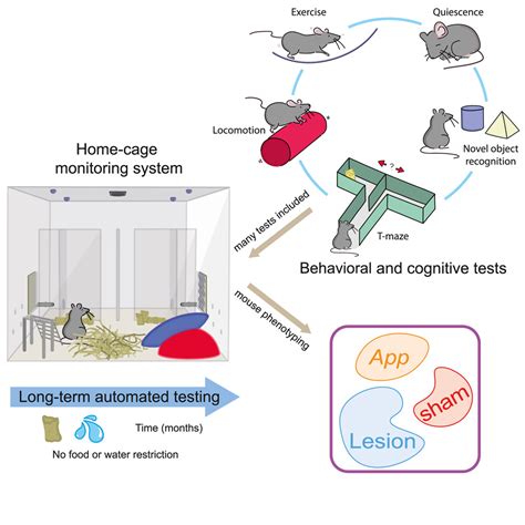 A Fully Automated Home Cage For Long Term Continuous Phenotyping Of Mouse Cognition And Behavior