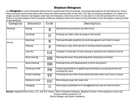 Elephant Ethogram Pdf Elephant Ethology