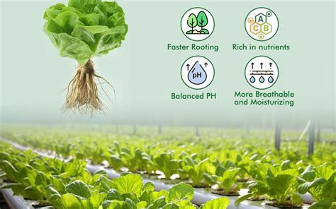 800ml Hydroponic Nutrients Review Hydroponic Gardening