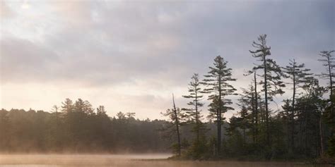 Daniel Cassar On Linkedin Fortunately The Fog Is Lifting 🔥