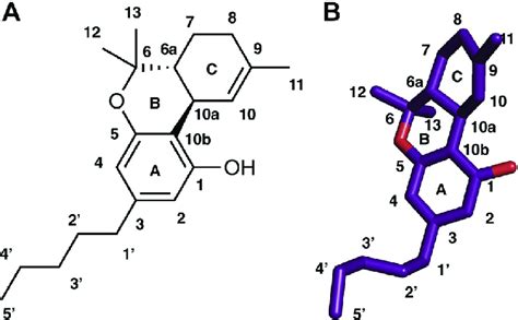 2d And 3d Representation Of Thc Structure A 2d Representation B 3d