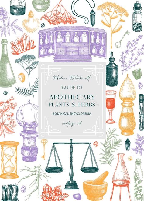 Antique Apothecary Label Design Stock Illustrations 268 Antique