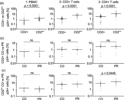 Levels Of Hiv 1 P24 Antigen In Cd2 Versus Cd2 Low Cells Of