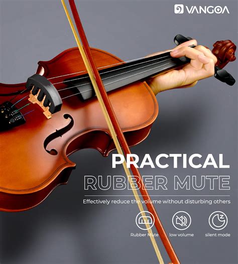 Vangoa 34 Violin Beginner Acoustic Violin Fiddle Three
