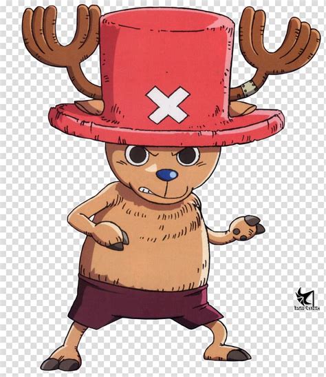 Tony Tony Chopper Monkey D Luffy One Piece Timeskip Straw Hat One