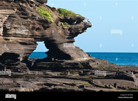 Galapagos Islands Ecuador Port Egas James Bay Isla Santiago