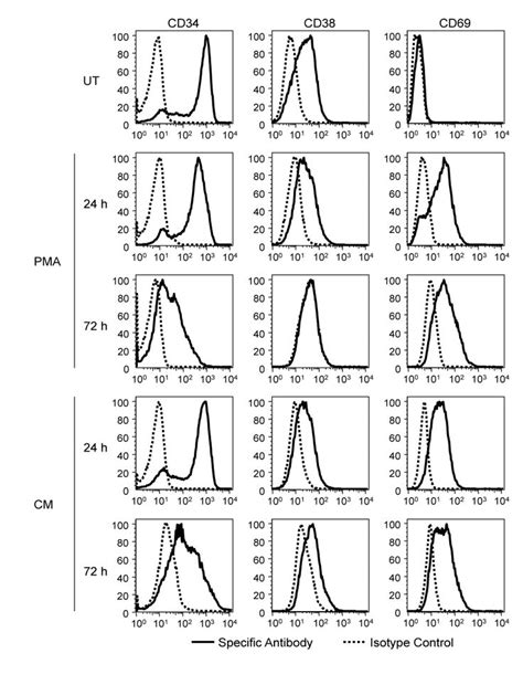 Modeling Bone Marrow Progenitor Cell Differentiation And Susceptibility To Hiv 1 Infection By
