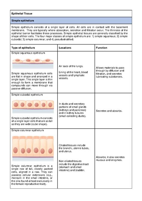 Module 10 Epithelial Tissue Summay Epithelial Tissue Simple Epithelium Simple Epithelium