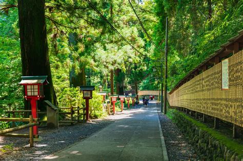 Mt Takao Hiking Trail Guide Difficulty Duration And Highlights