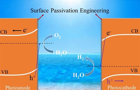 Passivation Layer Definition At Owen Griver Blog