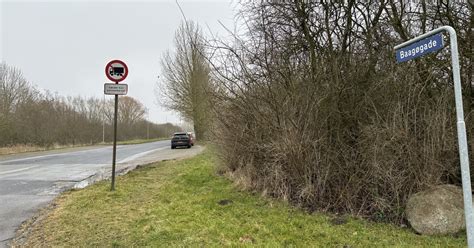 Køb Din Egen Skov Hvis Du Vil Dyrke Sex I Det Fri Raser Rådmand