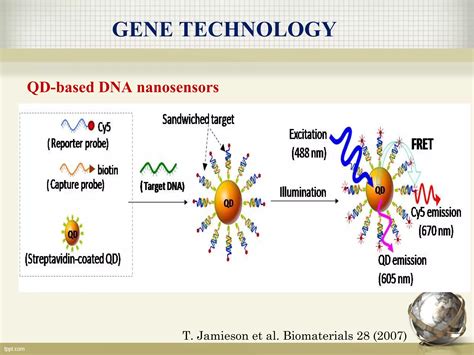 Biomedical Applications Of Quantum Dots Ppt