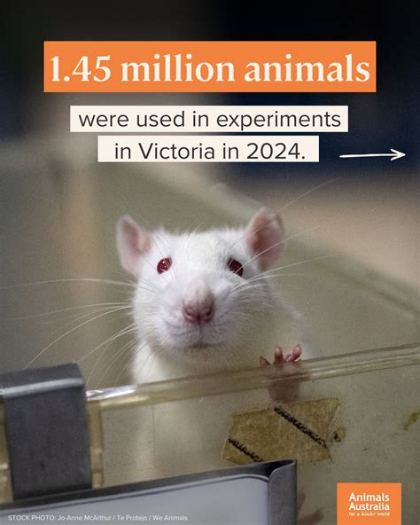 These Latest Statistics Offer Only The Animals Australia Facebook