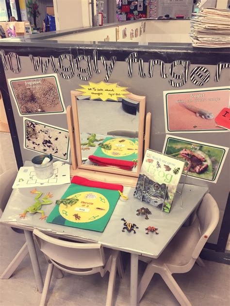 Life Cycle Of A Frog Science Understandingoftheworld Eyfs Reception