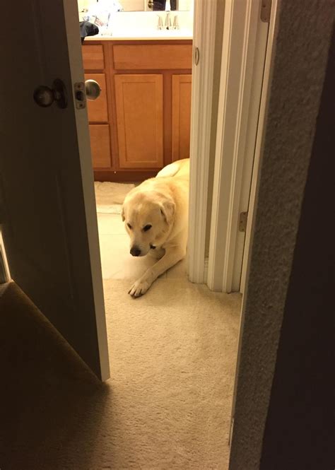 The Odd Couple Album On Imgur