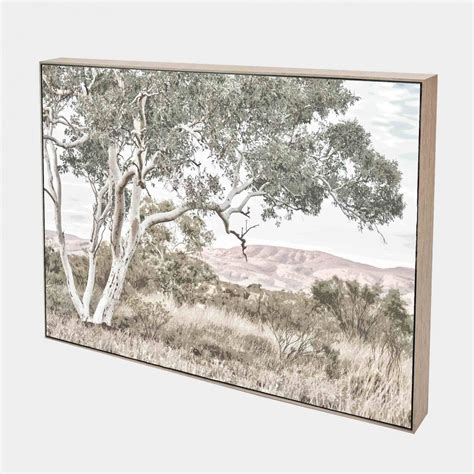 Stringybark Tree Artwork Iconiko