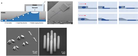 Microfluidic Modules Using High Resolution 3d Structure