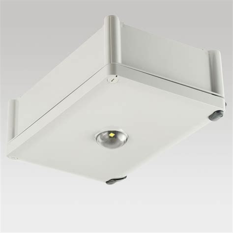 Led Goldstar Maximus Famco