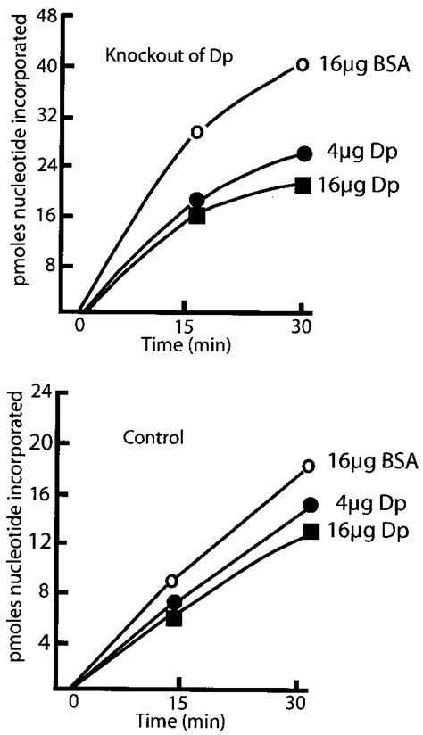 Inner Membrane Associated Mini Rk2 Plasmid Replication In Vitro In The