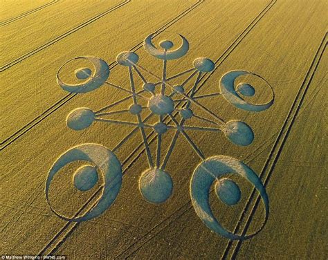First Crop Circle Of The Year Appears Overnight In Dorset Wheat Field