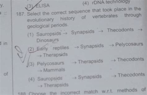 Select The Correct Sequence That Took Place In The Evolutionary History O